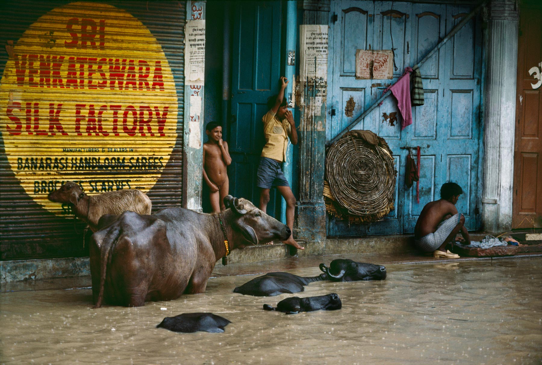 Steve Mccurry Photography Indian